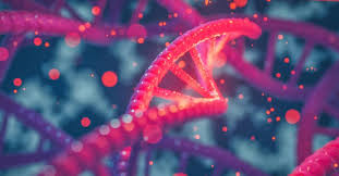 DHR Test - شرکت دانش بنیان هورمهر سلامت